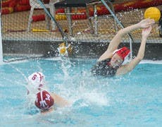 Water polo opens season at Stanford tourney - The Arizona State Press