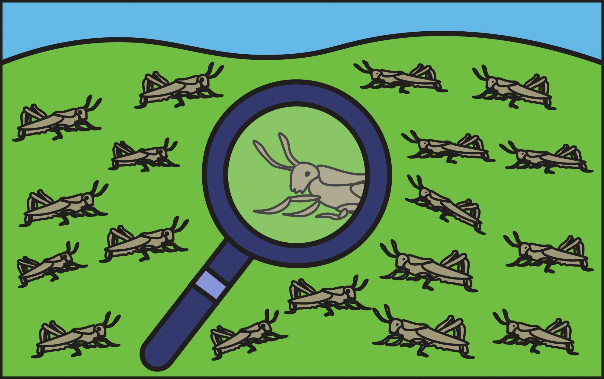 ASU locust lab is working to stop locust outbreaks like the one in East ...