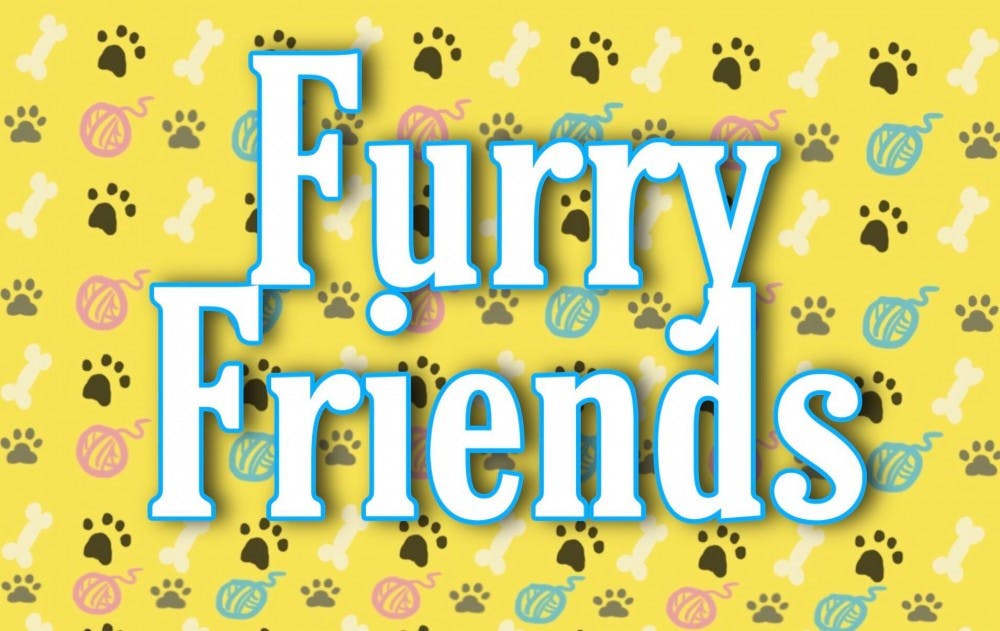 Portraits: Furry Friends - The Arizona State Press