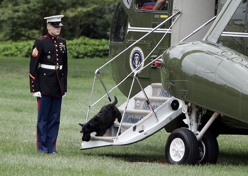 Presidential Pups: Ranking the 10 Best Presidential Dogs - The Arizona ...