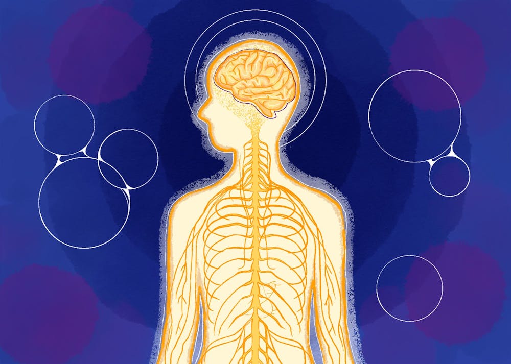 The ASU Autism and Brain Aging Lab is expanding the field of neurology ...