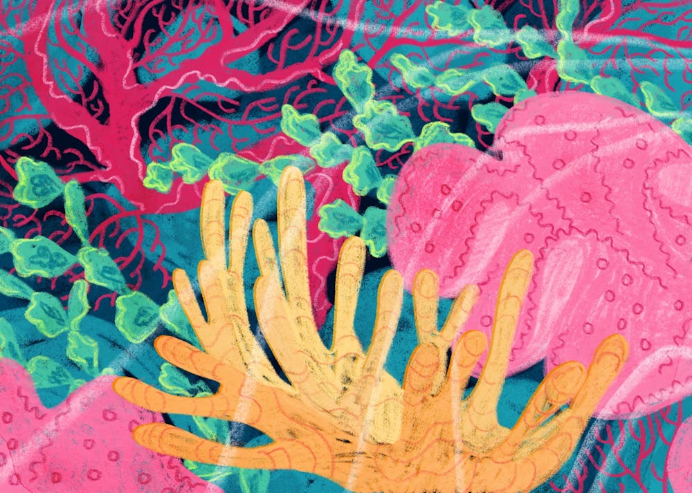 Allen Coral Atlas provides breakthrough tools for coral reef ...