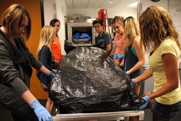 Cadaver class advances undergraduates’ medical knowledge - The Arizona ...