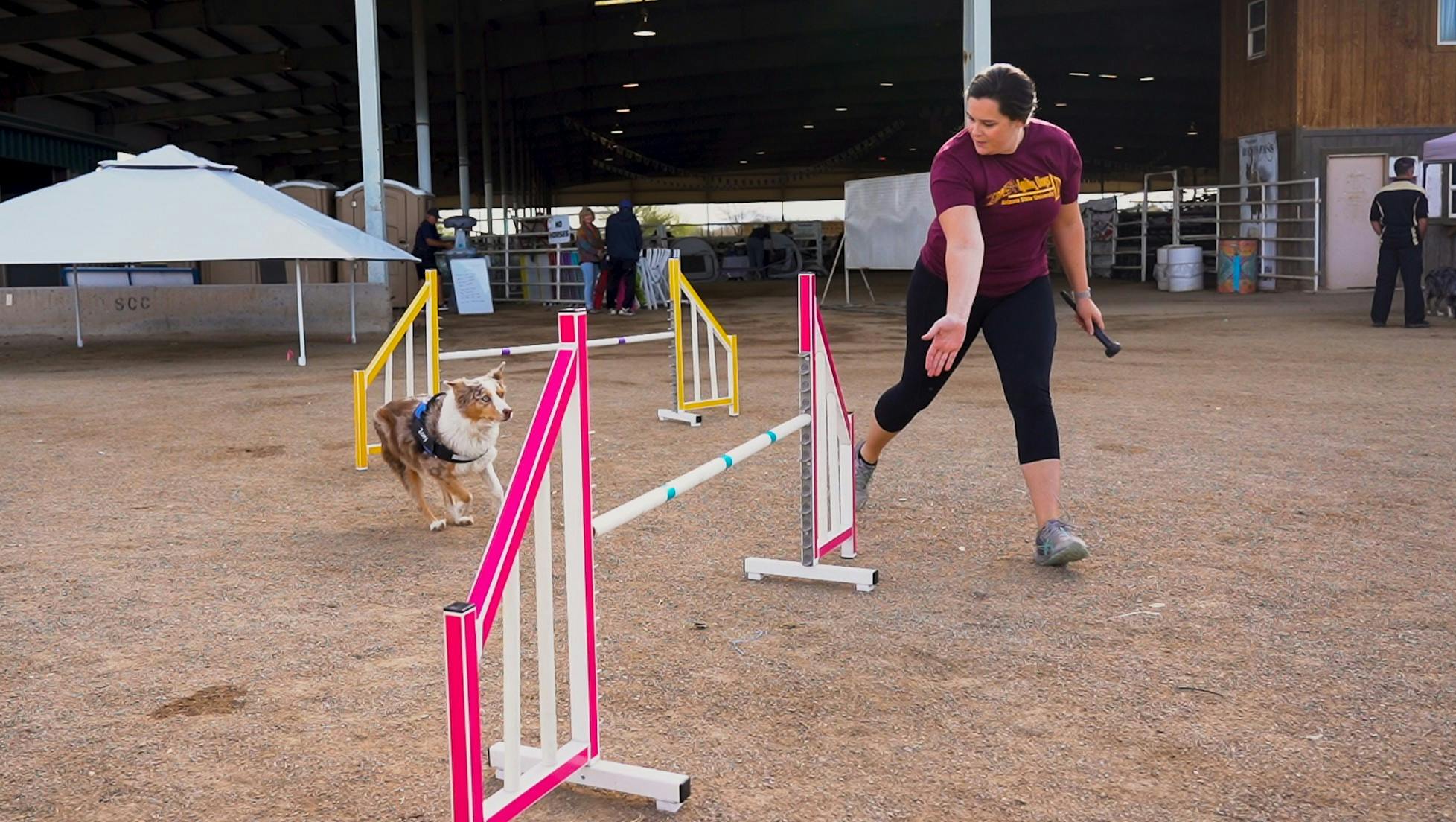 Five of ASU's most unique clubs - The Arizona State Press