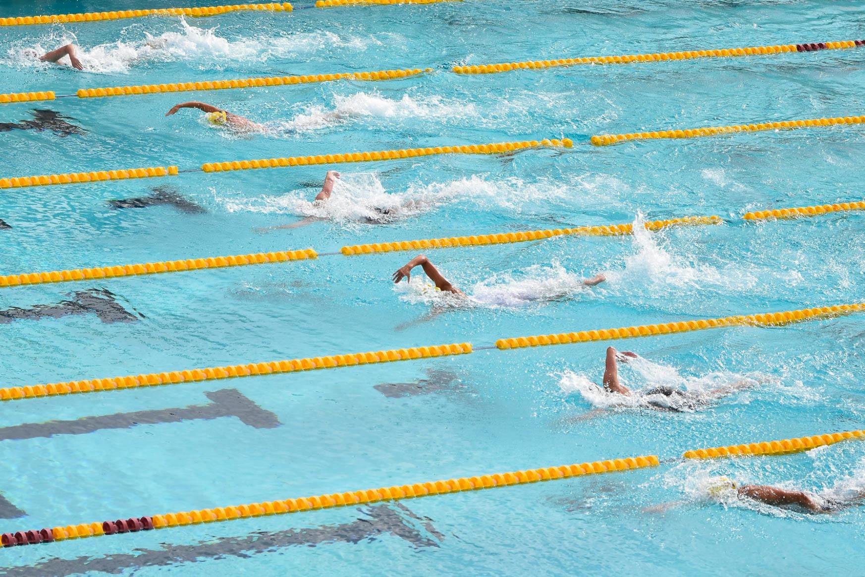 No. 1 ASU men's swim and dive continues to dominate, keeping sights set ...