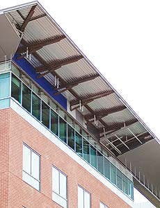 Lily Yan - The Arizona State Press