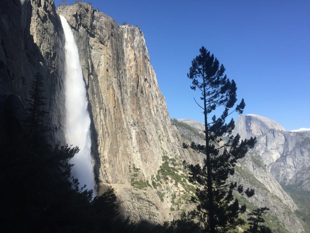 ASU student passes away at Yosemite, community mourns - The Arizona ...