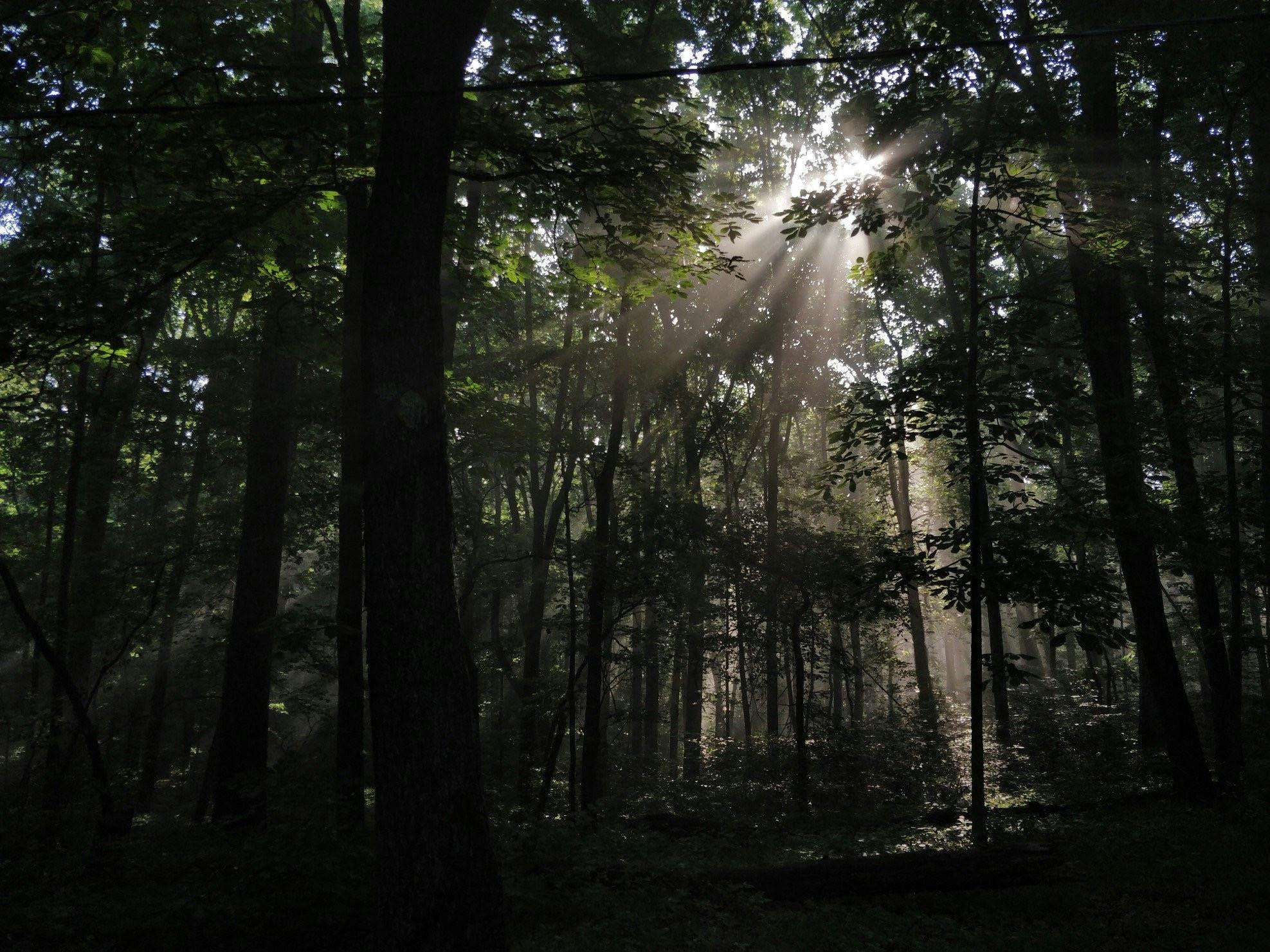 Review: Thinking about reading 'Hillbilly Elegy?' Don't - The Arizona ...