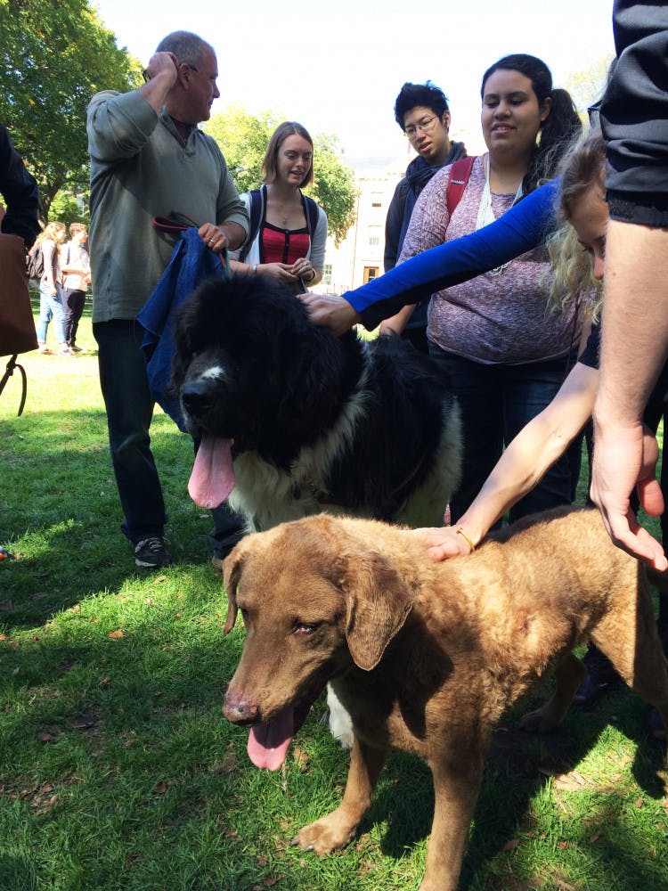 Pet therapy program provides furry support - The Brown Daily Herald