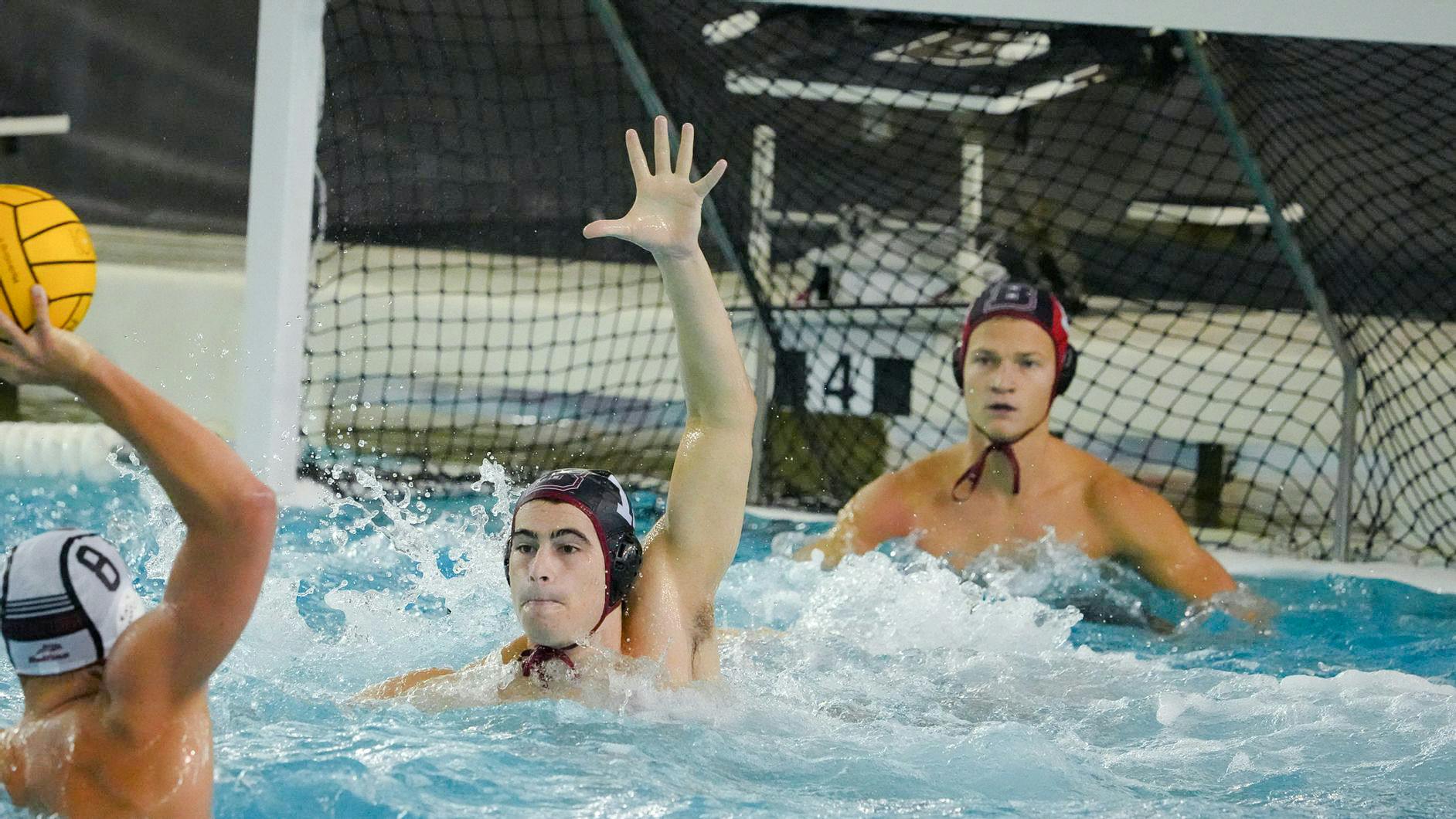 Men’s water polo goes 2-1 on California road trip - The Brown Daily Herald