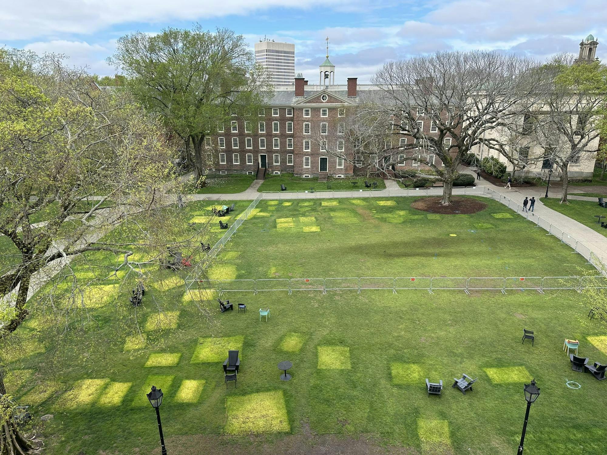 New member of bear family moves into Ittleson Quad - The Brown Daily Herald