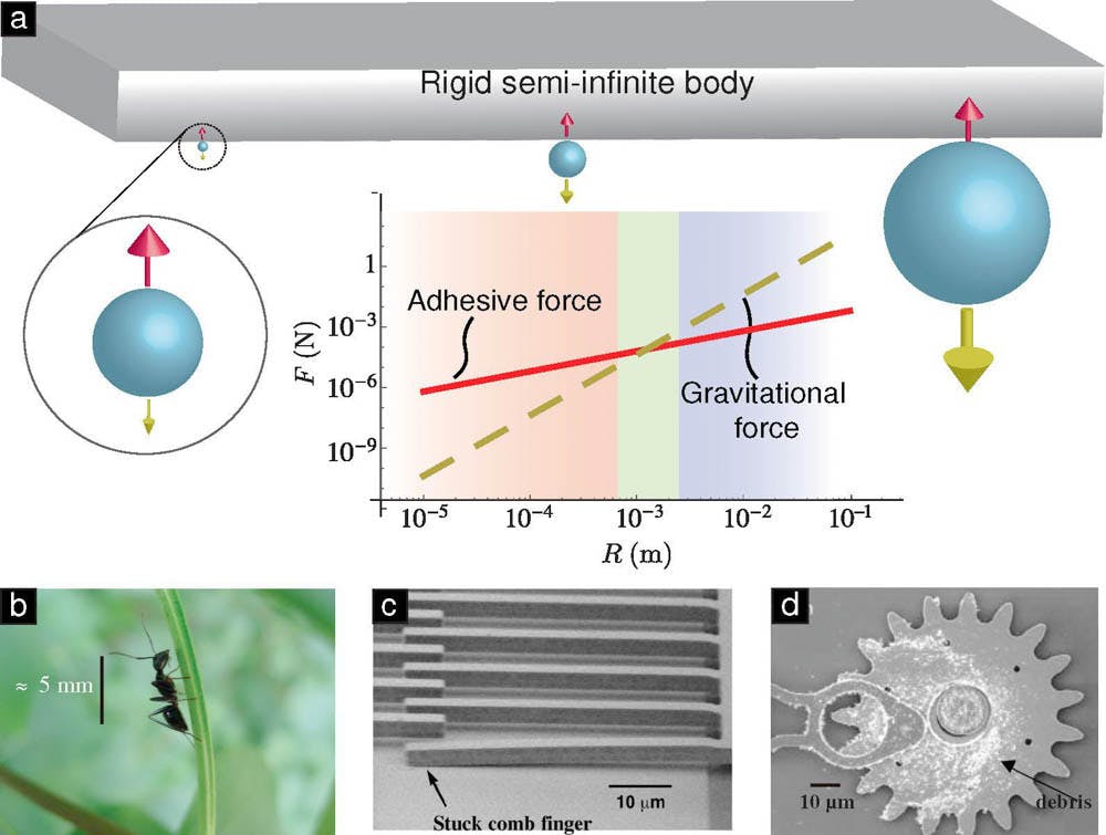 Differences in surface roughness can affect how those surfaces stick ...