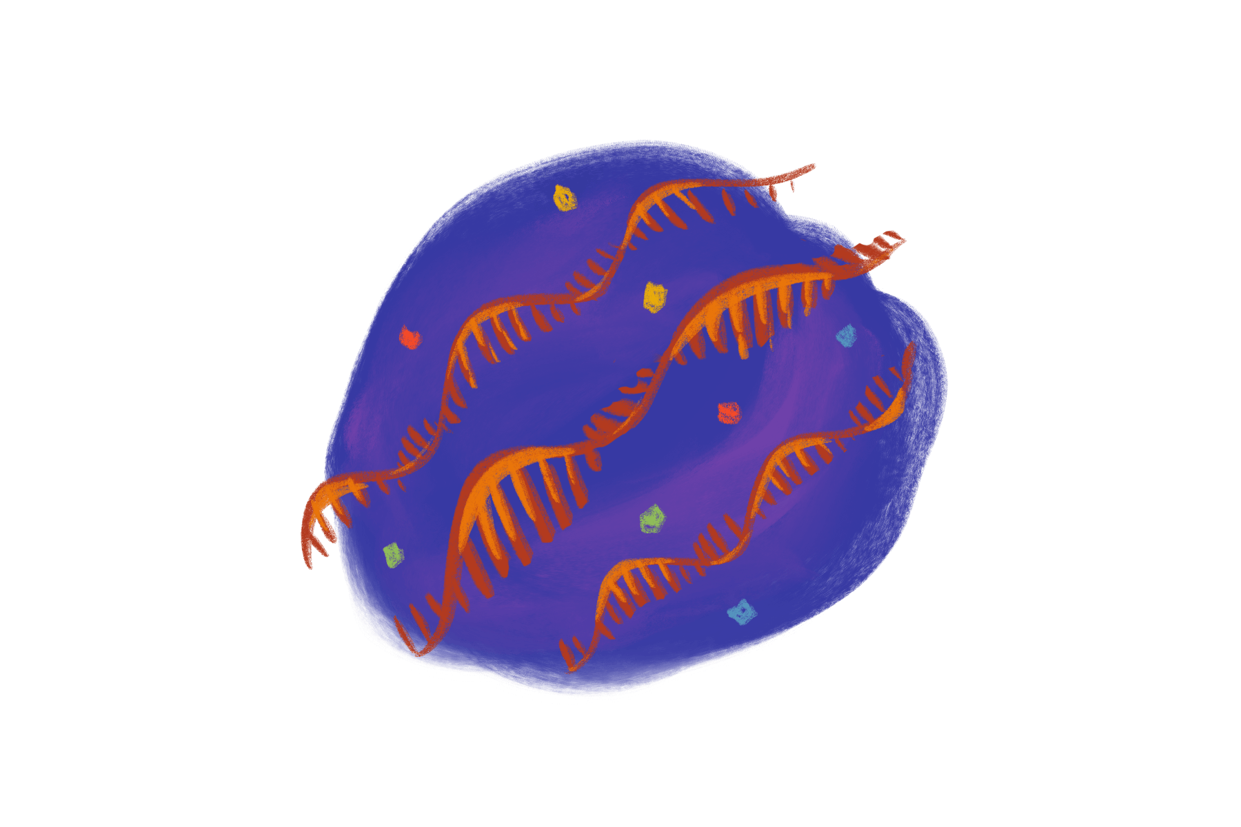 Meet the Brown researcher who wants to help sequence all potential RNA ...