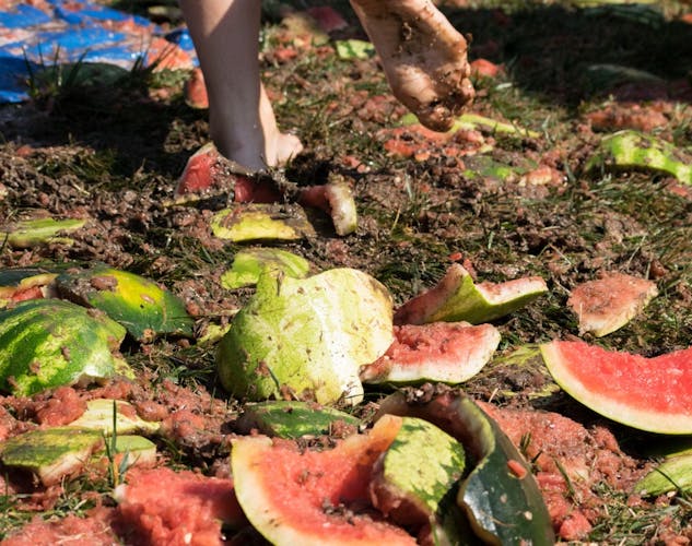 45th Annual Watermelon Bust 2017 - Ball State Daily
