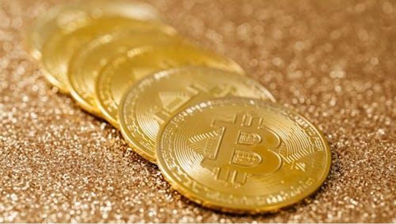 Crypto Money-Making Opportunities for Softball Fans - Ball State Daily