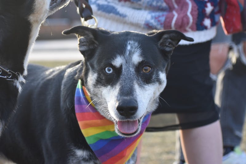Ball State Spectrum Hosts Rally in Protest of House Bill 1041 - The ...