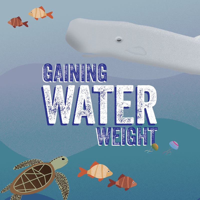 Gaining Water Weight: A deep dive into how much water is used to make ...