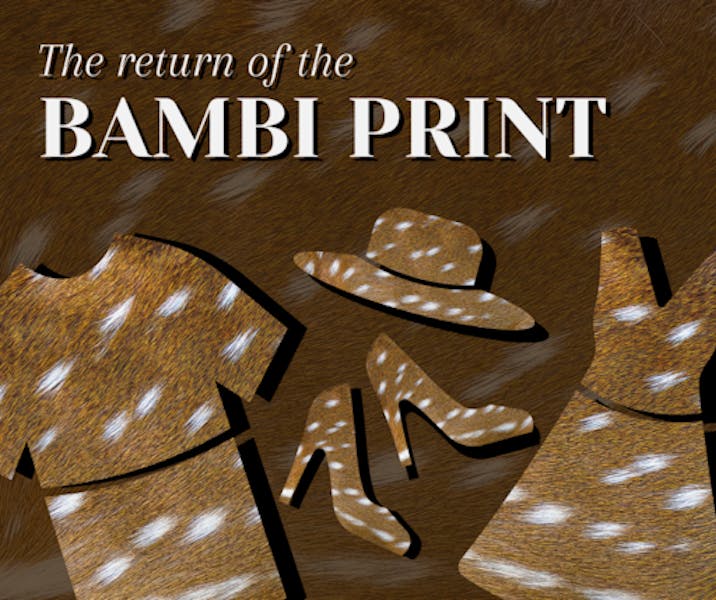 The return of the bambi print - The Spectrum