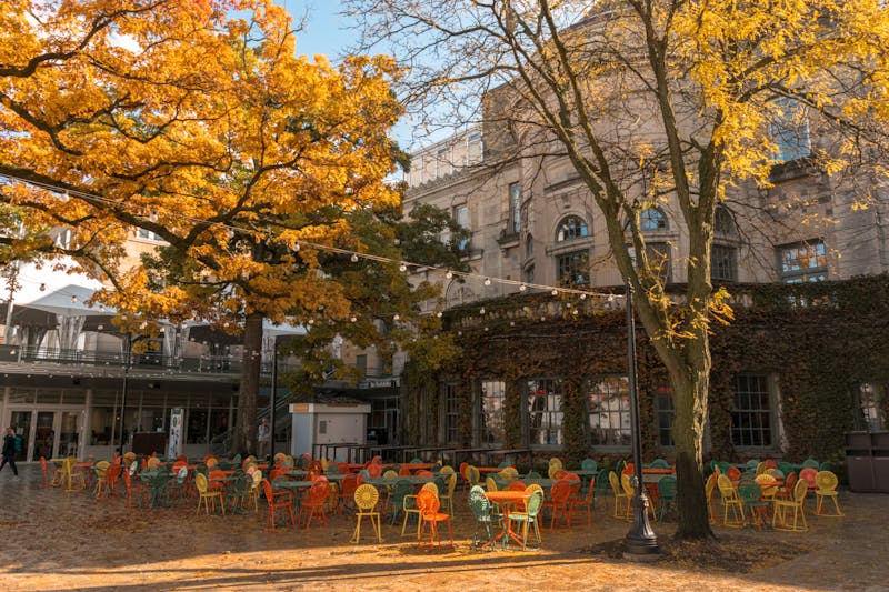 Fall 2025 Madison Arts Guide - The Daily Cardinal