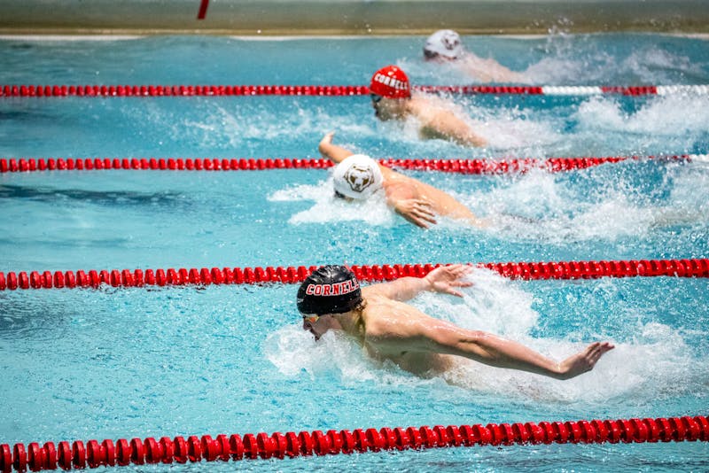 Men's Swim and Dive Shines at BU Winter Open, Sets Stage for Ivy League ...