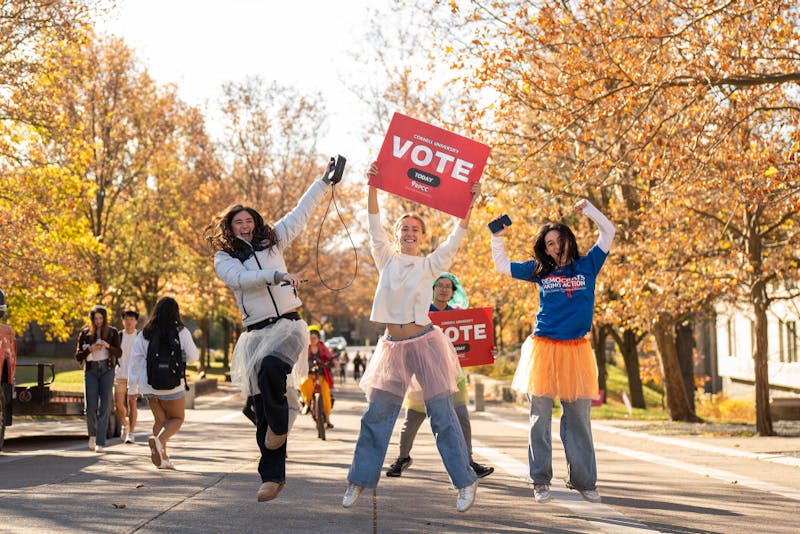 SUNBURSTS | Election 2024 - The Cornell Daily Sun