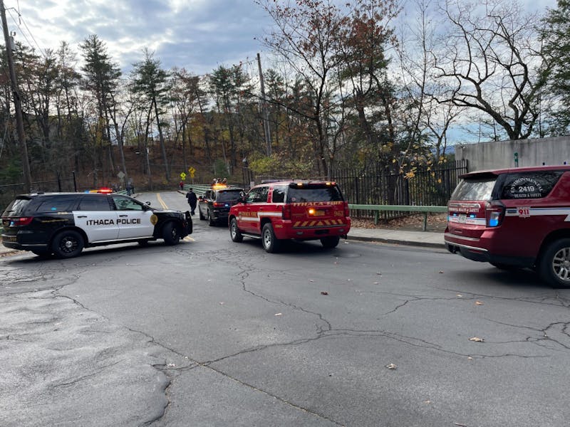 Woman Found Unresponsive After Falling Into Fall Creek Gorge Near ...