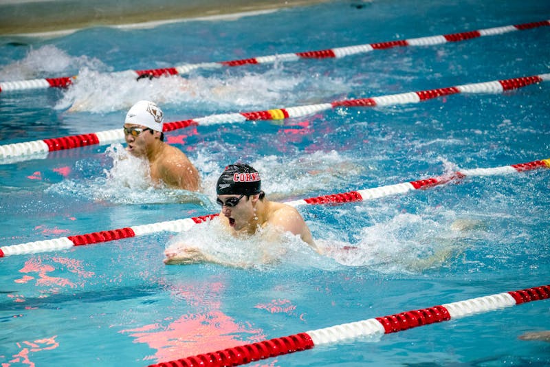 Men’s Swim and Dive Reaches New Heights at Ivy League Championships ...