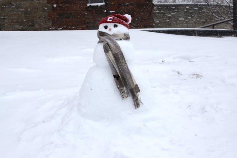 Latest Snow Updates: 10 Inches Possible; Cornell Open; TCAT Buses ...