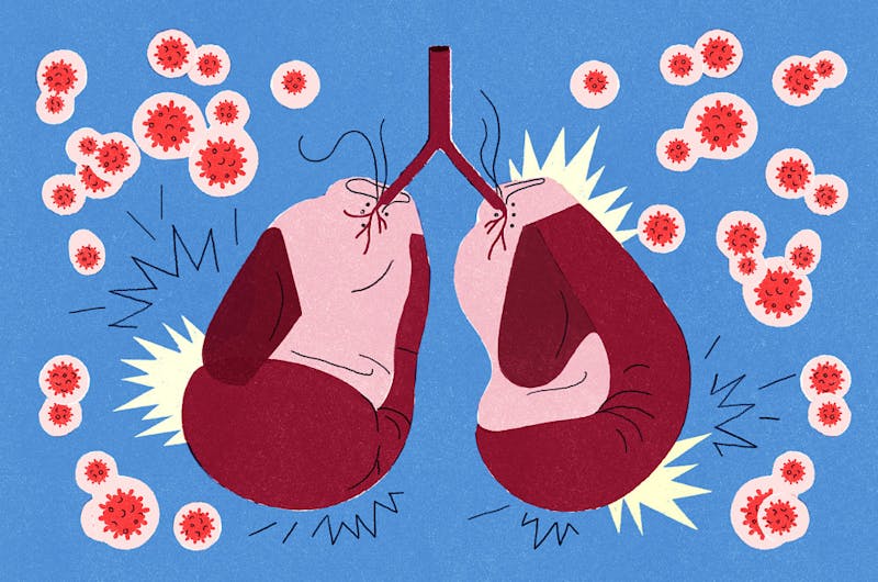 A Look Into The Immune System: Cornell Experts Explain How Our Bodies ...