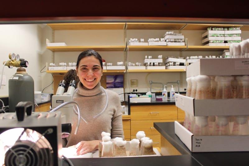 Student Spotlight on Mika Matera-Vatnick ’21: Researching Insect ...