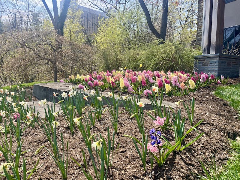 The Reality of Having a Fresh Start in College - The Cornell Daily Sun