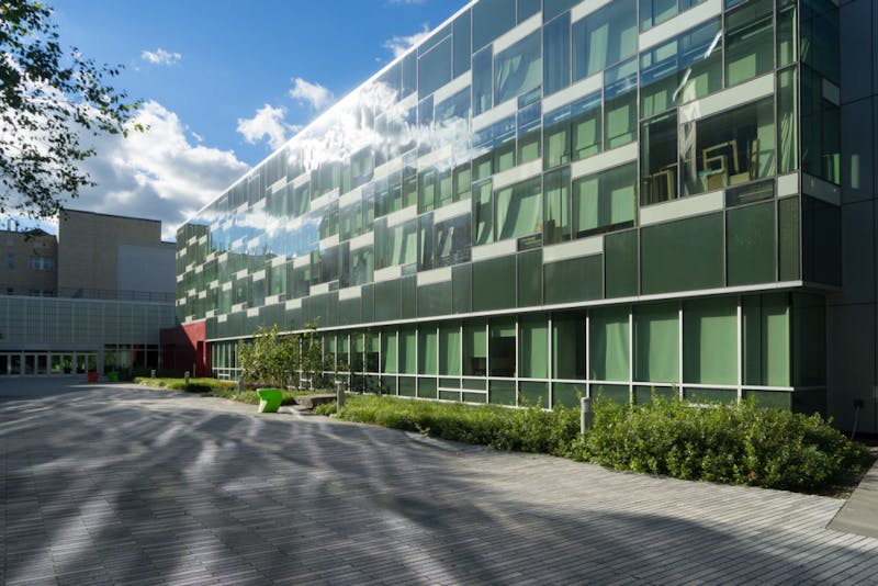 No More HumEc? Students Slam Proposal to Reinvent as School of Public ...