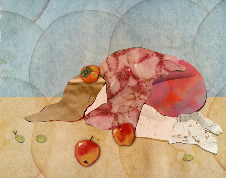 Gutting the Conversation Around Food, Body and Health - The Cornell ...