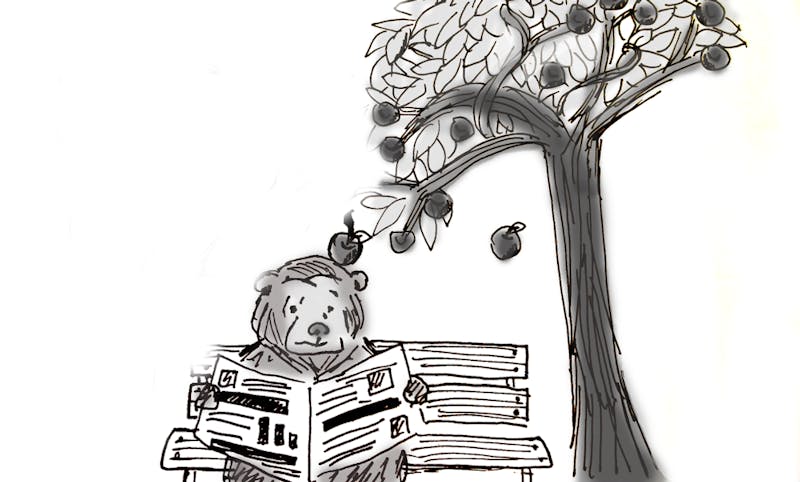 Apple Picking and Pomology: The Science Behind Apple Growing - The ...