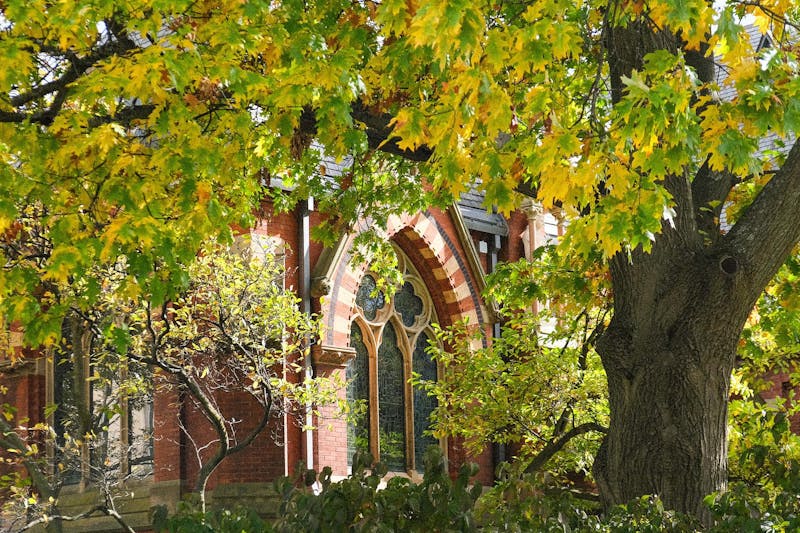 Cornell Bowers Graduate Student Dies on Sunday - The Cornell Daily Sun