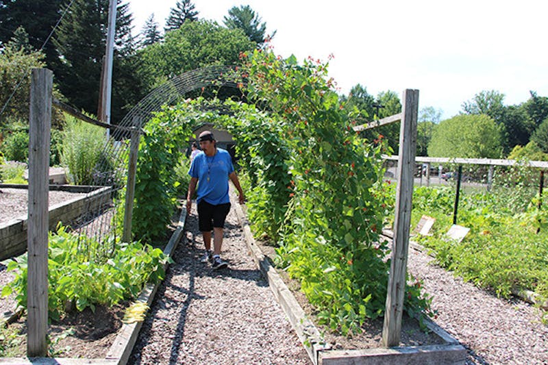 Inaugural Course on Cayuga Language and Culture Starts This Fall - The ...