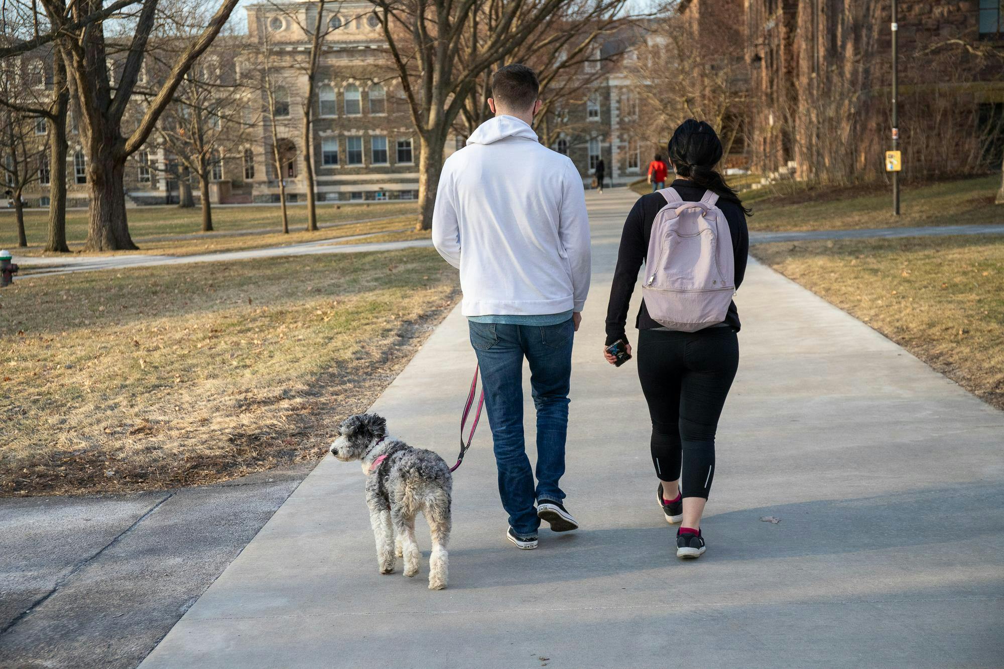 Big Red Bark Chat Uses AI to Answer Dog Owners Questions - The Cornell Daily Sun