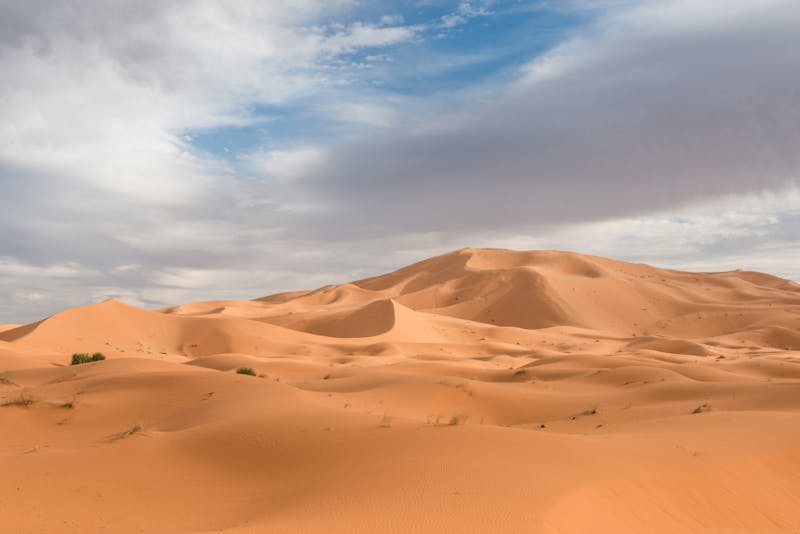 The Science Behind Arrakis: Understanding the Climate and Ecosystem of ...