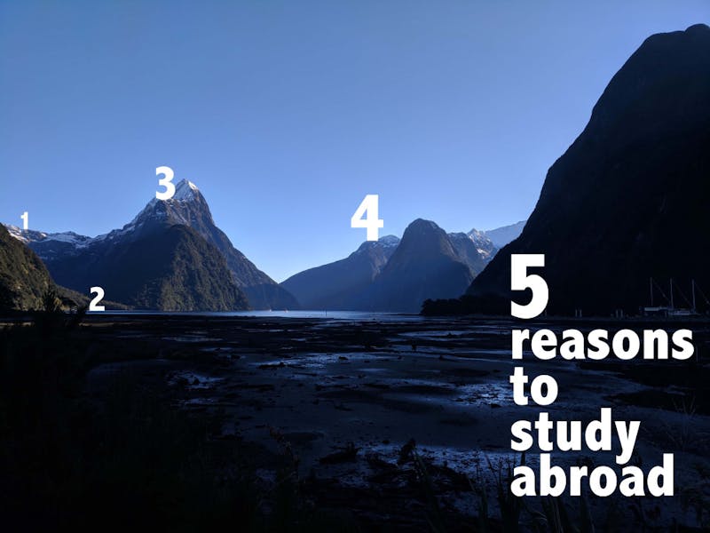 ARRAY | The 5 Cornell Reasons to Study Abroad - The Cornell Daily Sun