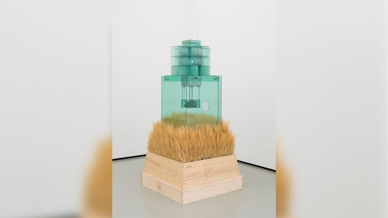 Purring Machines: ‘Nature Never Loses’ at the ICA - 34th Street Magazine