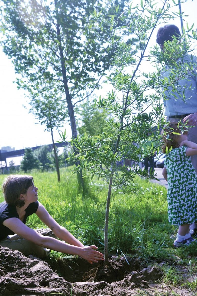 Sprucing up employees' homes with trees | The Daily Pennsylvanian