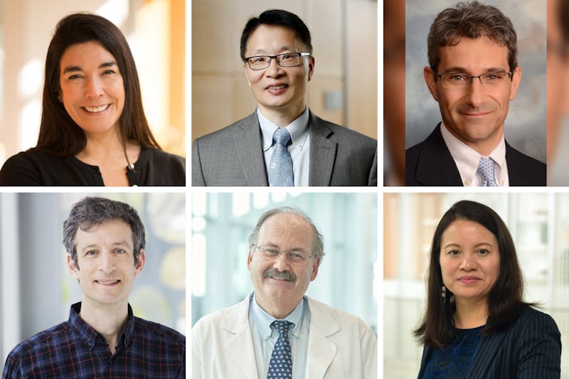 Six Penn faculty members named American Association for the Advancement ...