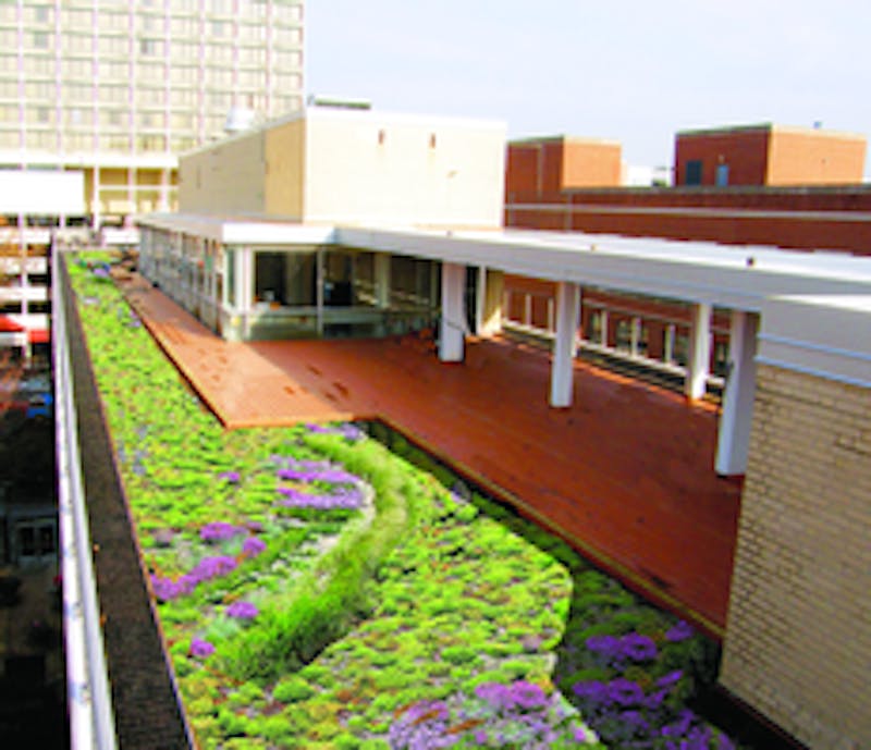 First green roof at University nearing completion | The Daily Pennsylvanian