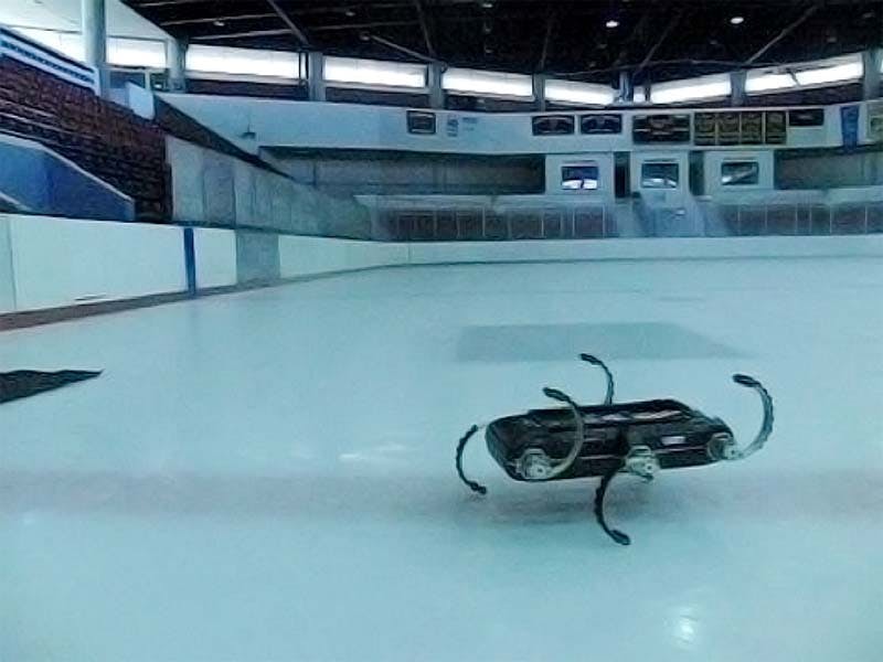 A robot learns to ice skate | The Daily Pennsylvanian