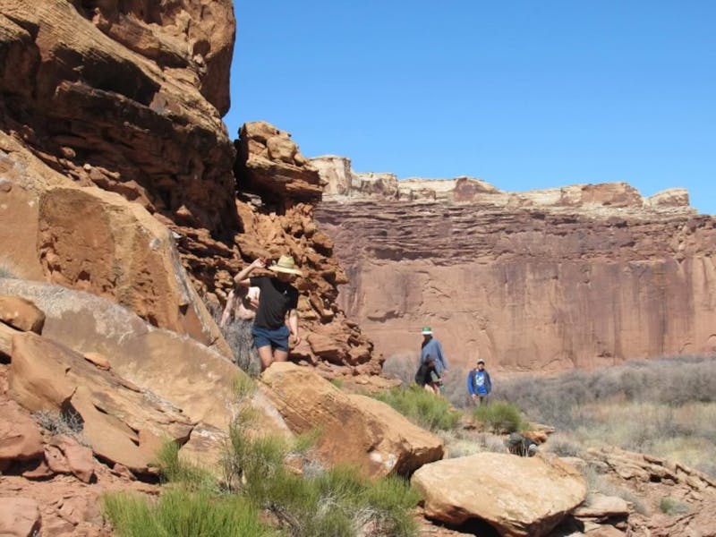 DOC spring break trips take students across the country - The Dartmouth