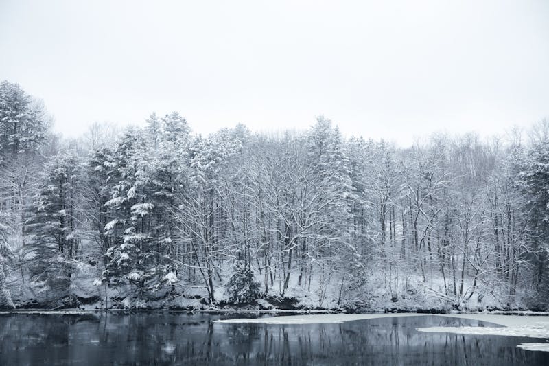 Photo Essay: Winter in Hanover - The Dartmouth