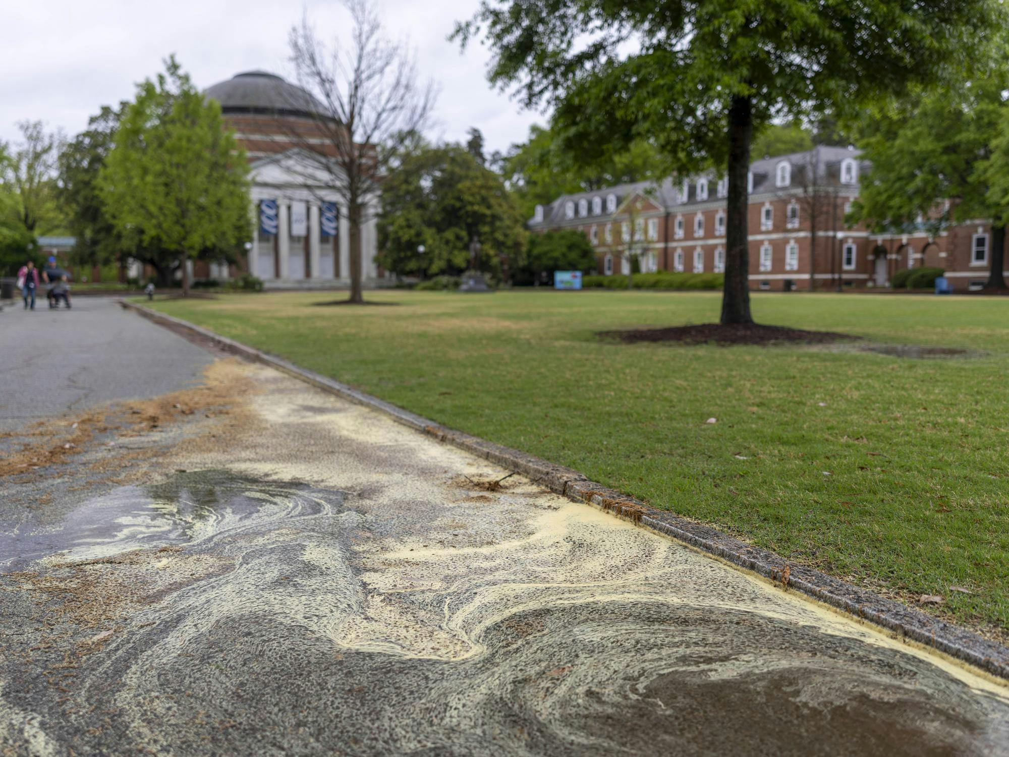‘Pollen everywhere’: Understanding the record-breaking NC pollen season ...