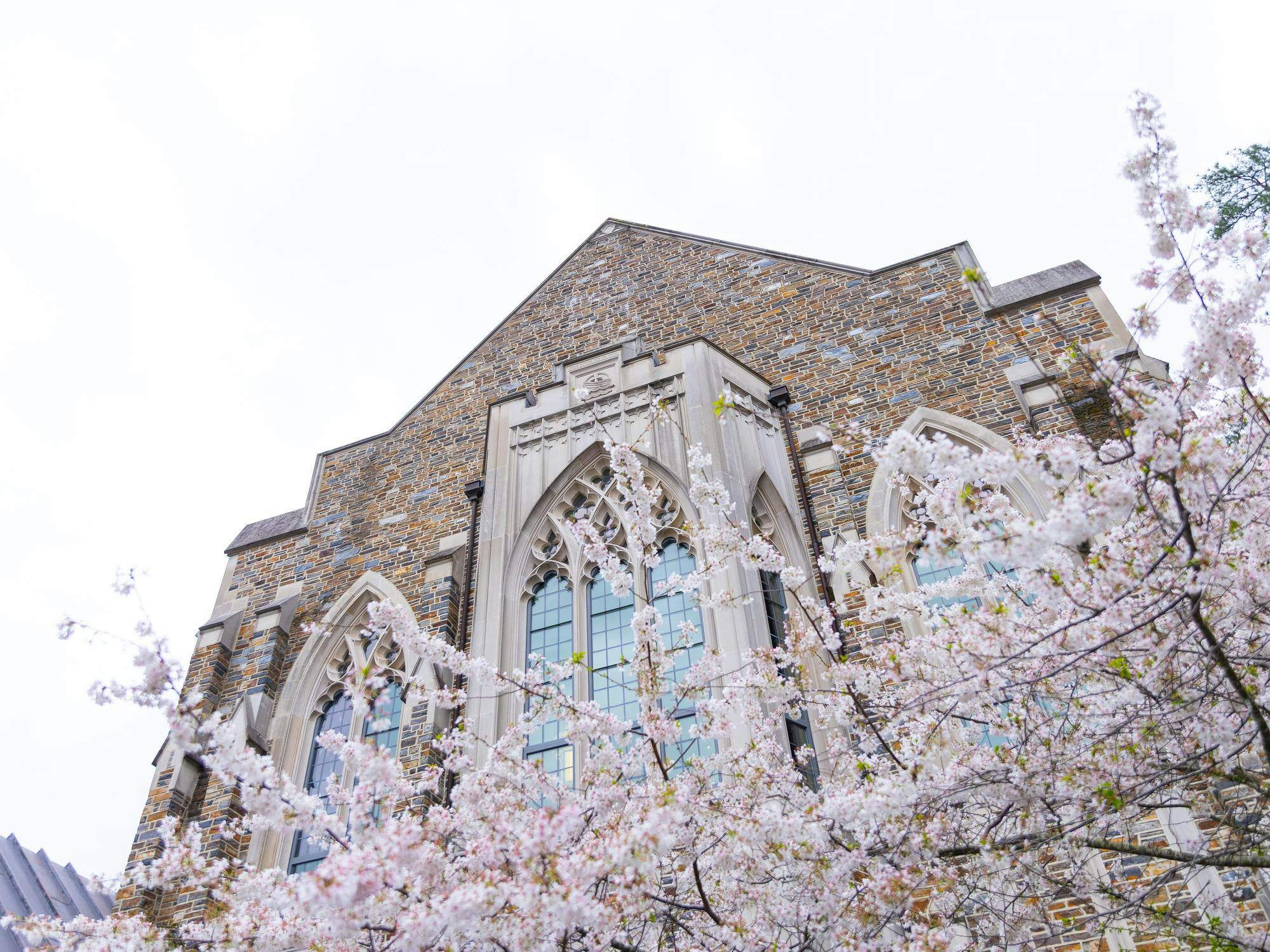 Nicholas and Divinity Schools launch joint degree program blending ...