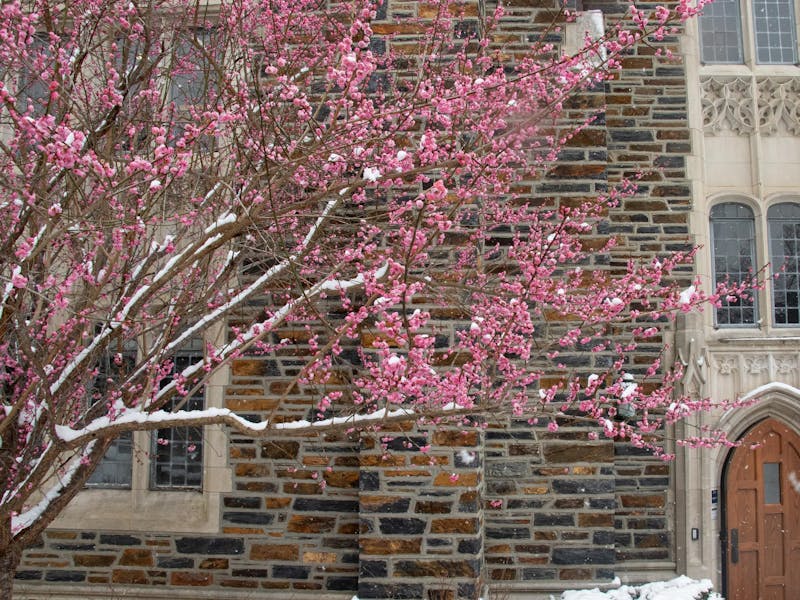 Recovering from the winter weather with your week in Duke arts - The ...