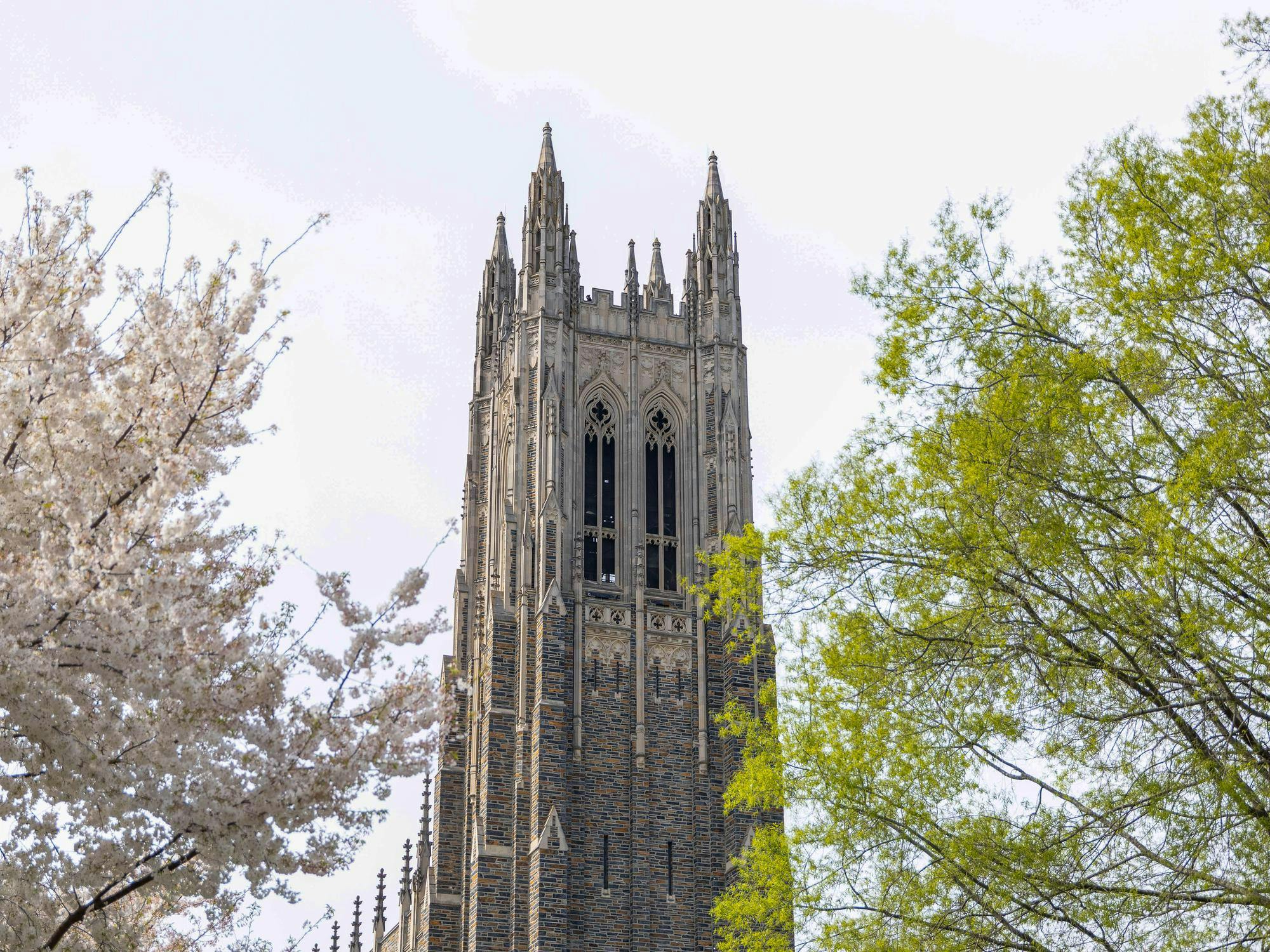 Duke admits 3.7% of Regular Decision students to Class of 2030, overall ...
